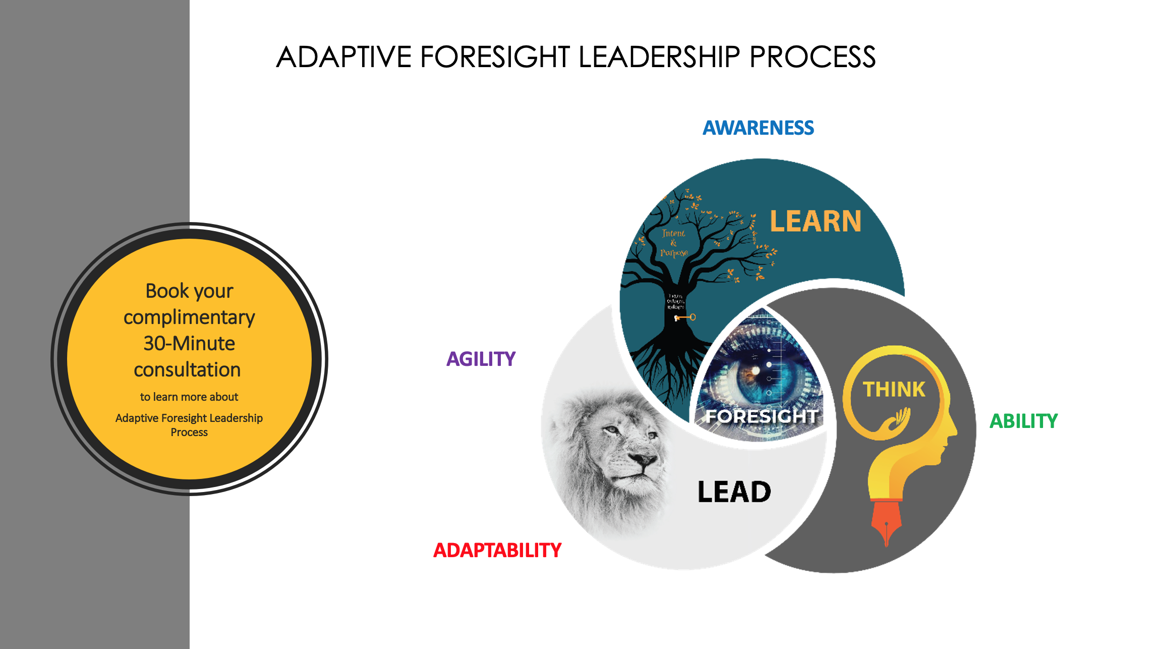 Foresight Leadership Model – invictusleader Foresight Leadership Model – invictusleader